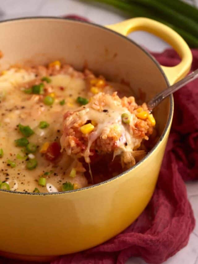 Southwest Chicken and Rice ACP - Butter & Baggage