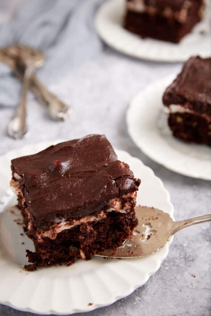 From Scratch Chocolate Mud Cake with Marshmallow Frosting - Butter ...
